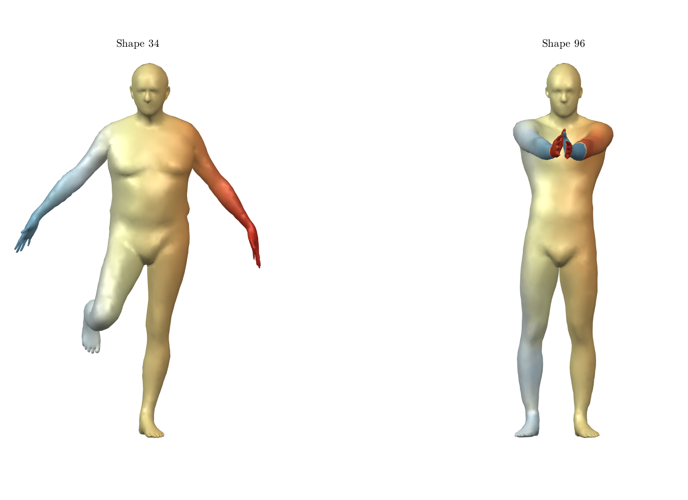 Functional Map – SGI 2021